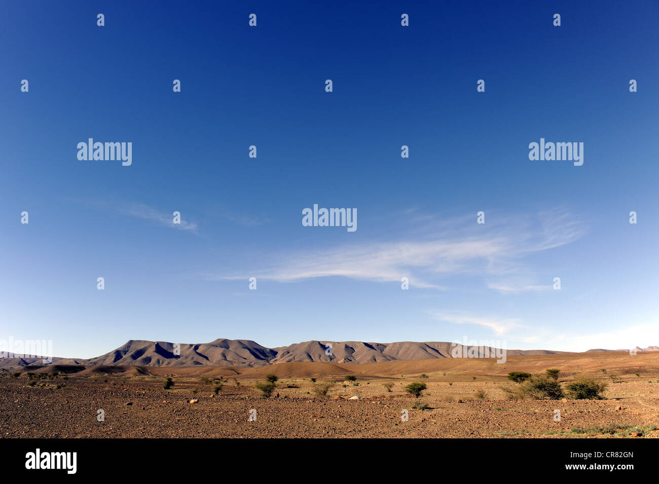 Desert landscape, desert boulders, Hamadah, southern Morocco, Morocco ...