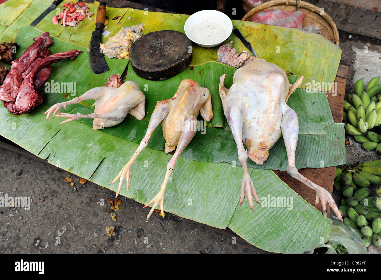 Chicken innards hi-res stock photography and images - Alamy