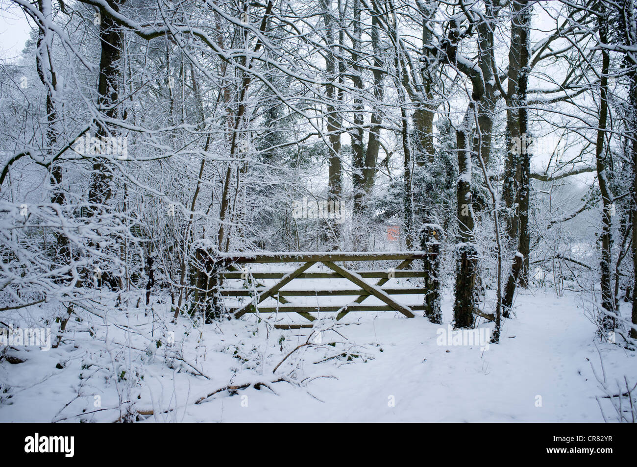 Frozen country gate on Ranmore Common in winter. Snow covered gate in ...