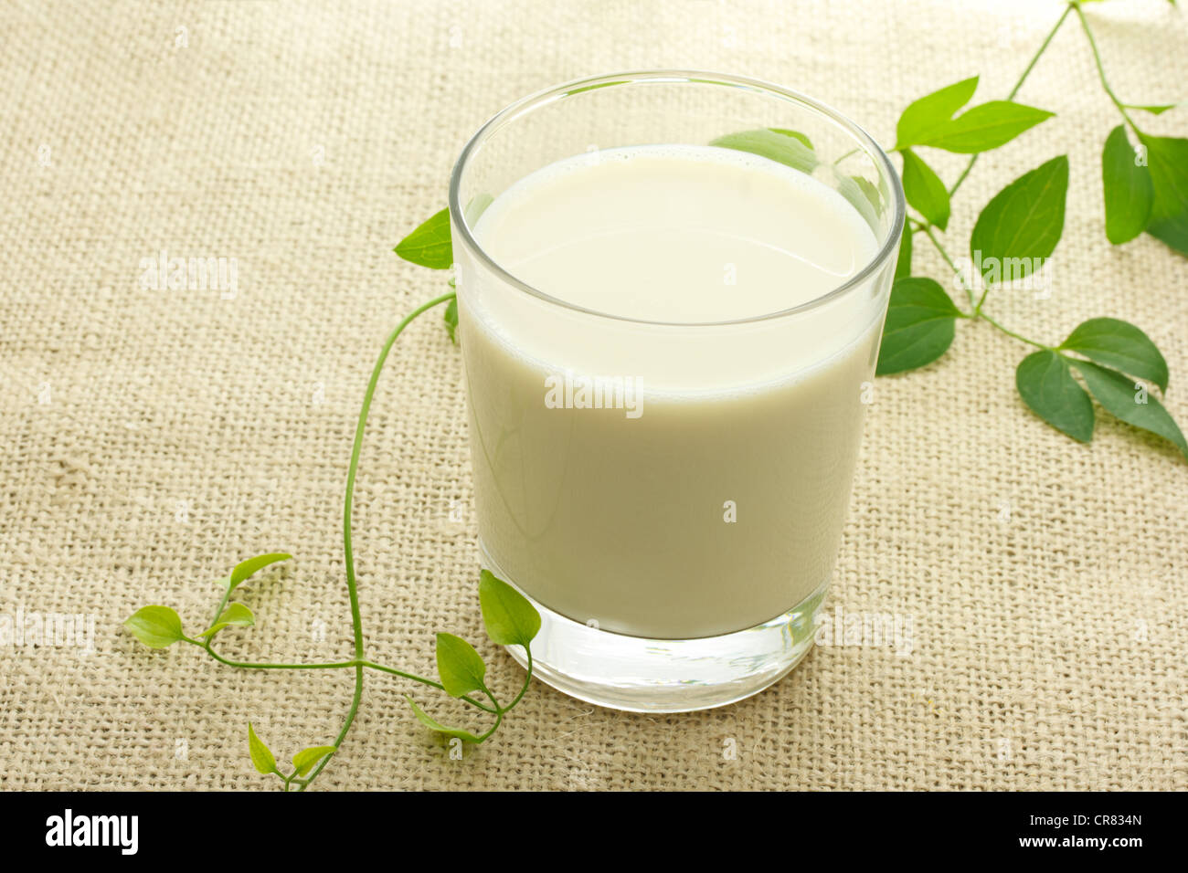 Glass of Fresh Milk Stock Photo - Alamy