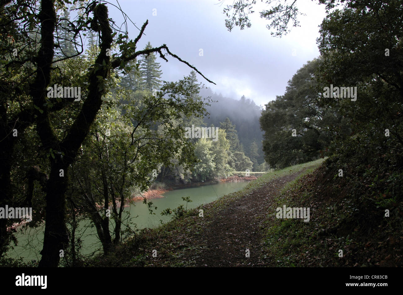 Russian Ridge Trail Stock Photo - Alamy