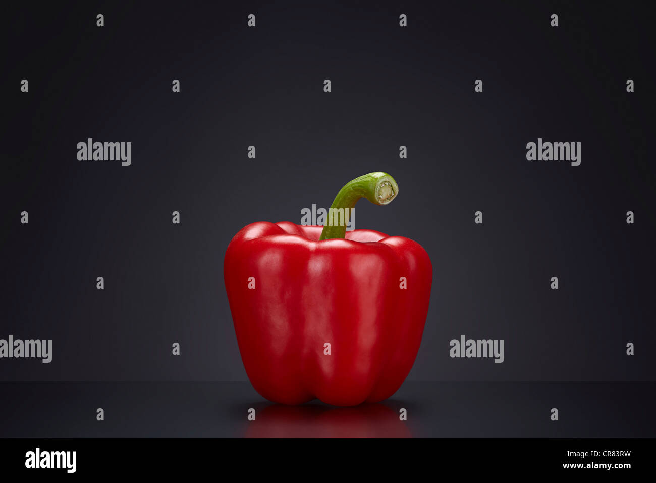 Separate glass plate hi-res stock photography and images - Alamy