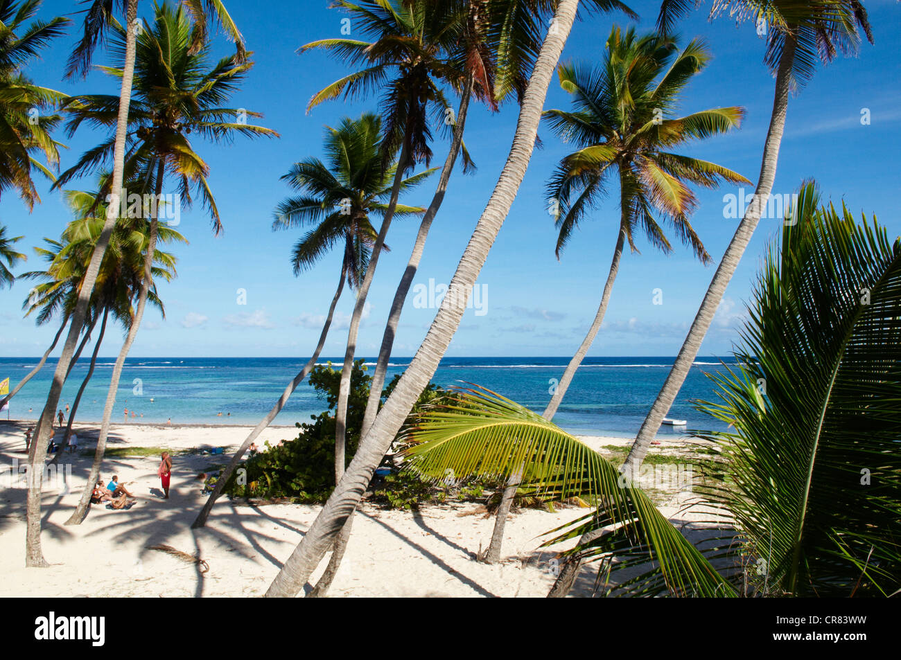 France, Martinique (French West Indies), Cap Chevalier, Anse Michel ...