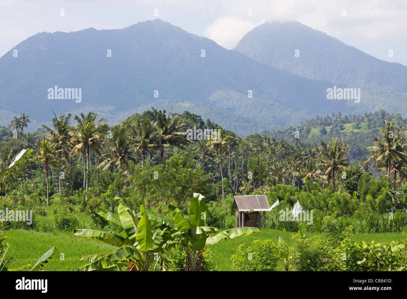 Bali - Indonesia - Southeast Asia Stock Photo - Alamy