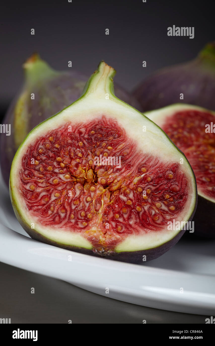 Blue figs ficus carica on hi-res stock photography and images - Alamy