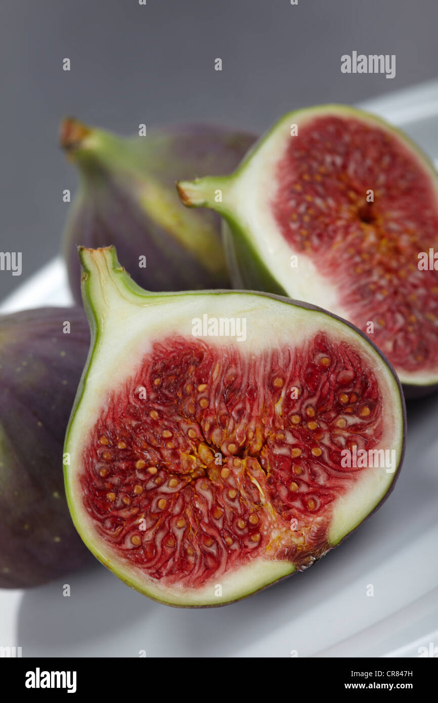 Blue figs (Ficus carica) on a white plate Stock Photo - Alamy