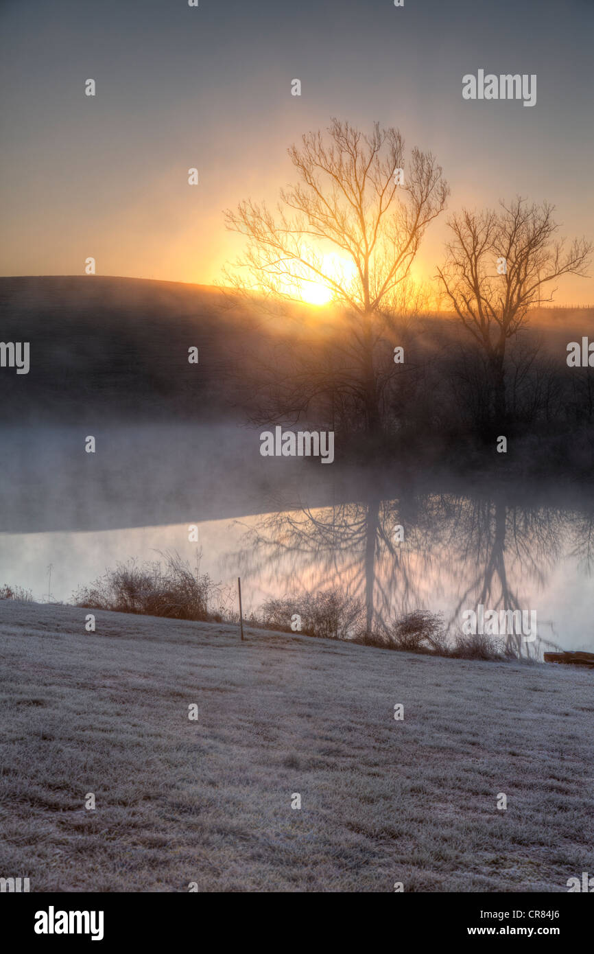 Frosty morning fog trees hi-res stock photography and images - Alamy