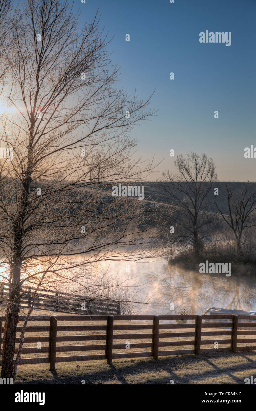 Frosty morning fog trees hi-res stock photography and images - Alamy