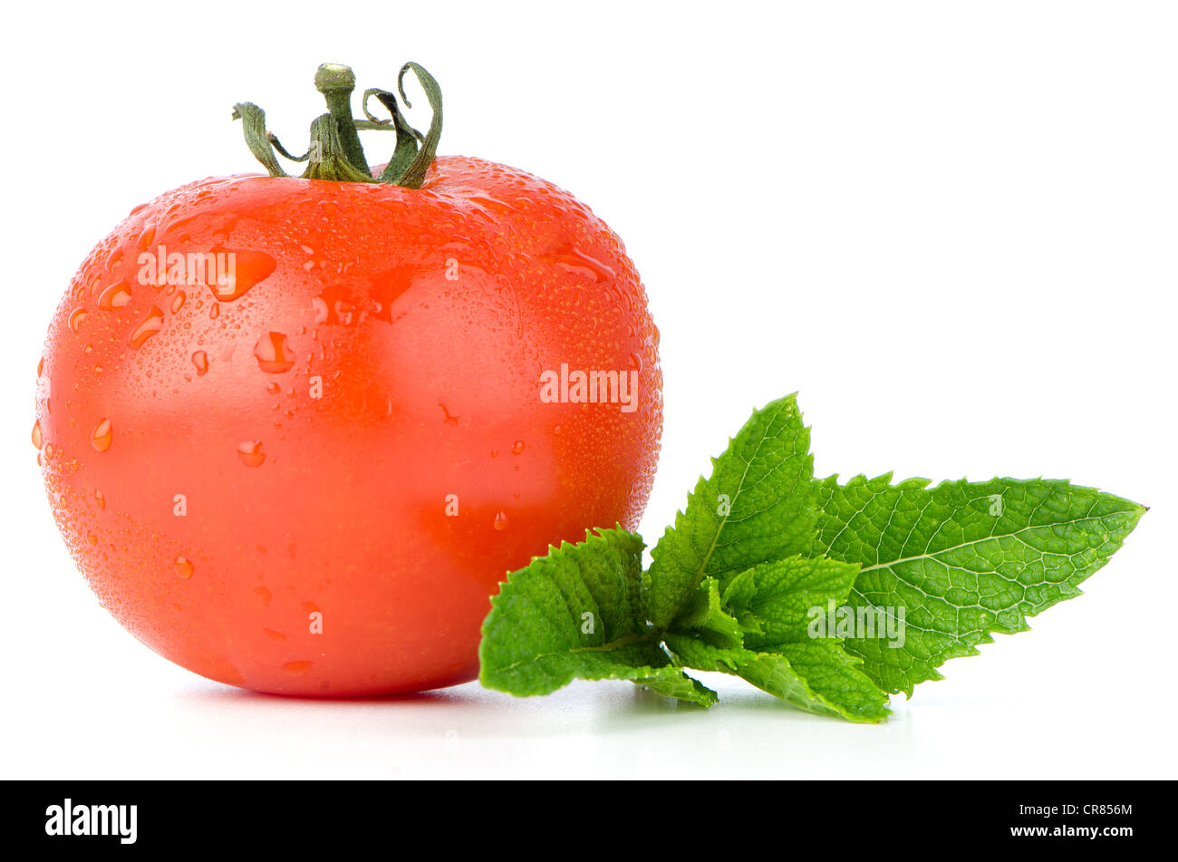 Red tomato and mint leaf isolated on white background Stock Photo - Alamy