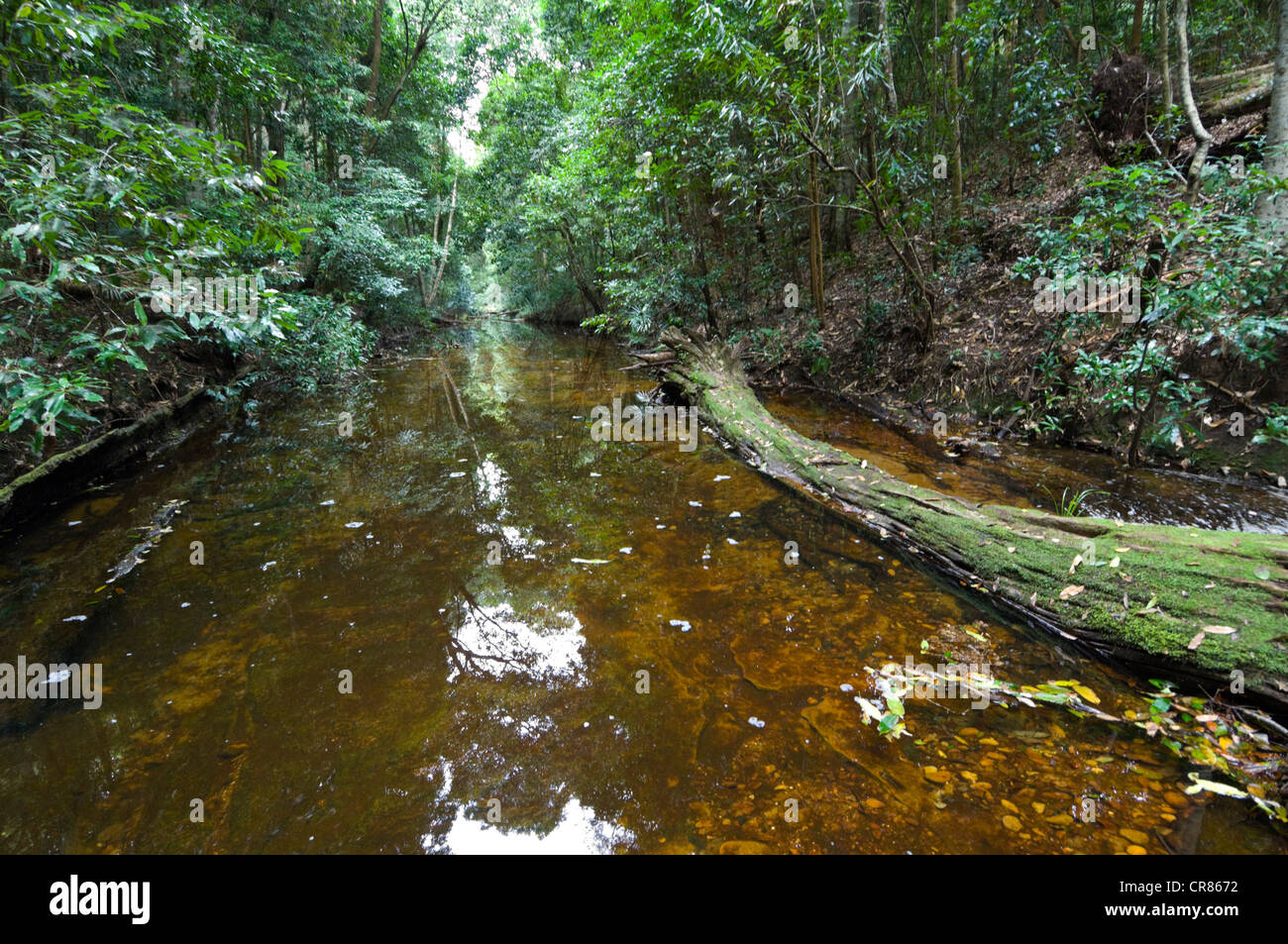 Hacking river nsw hi-res stock photography and images - Alamy