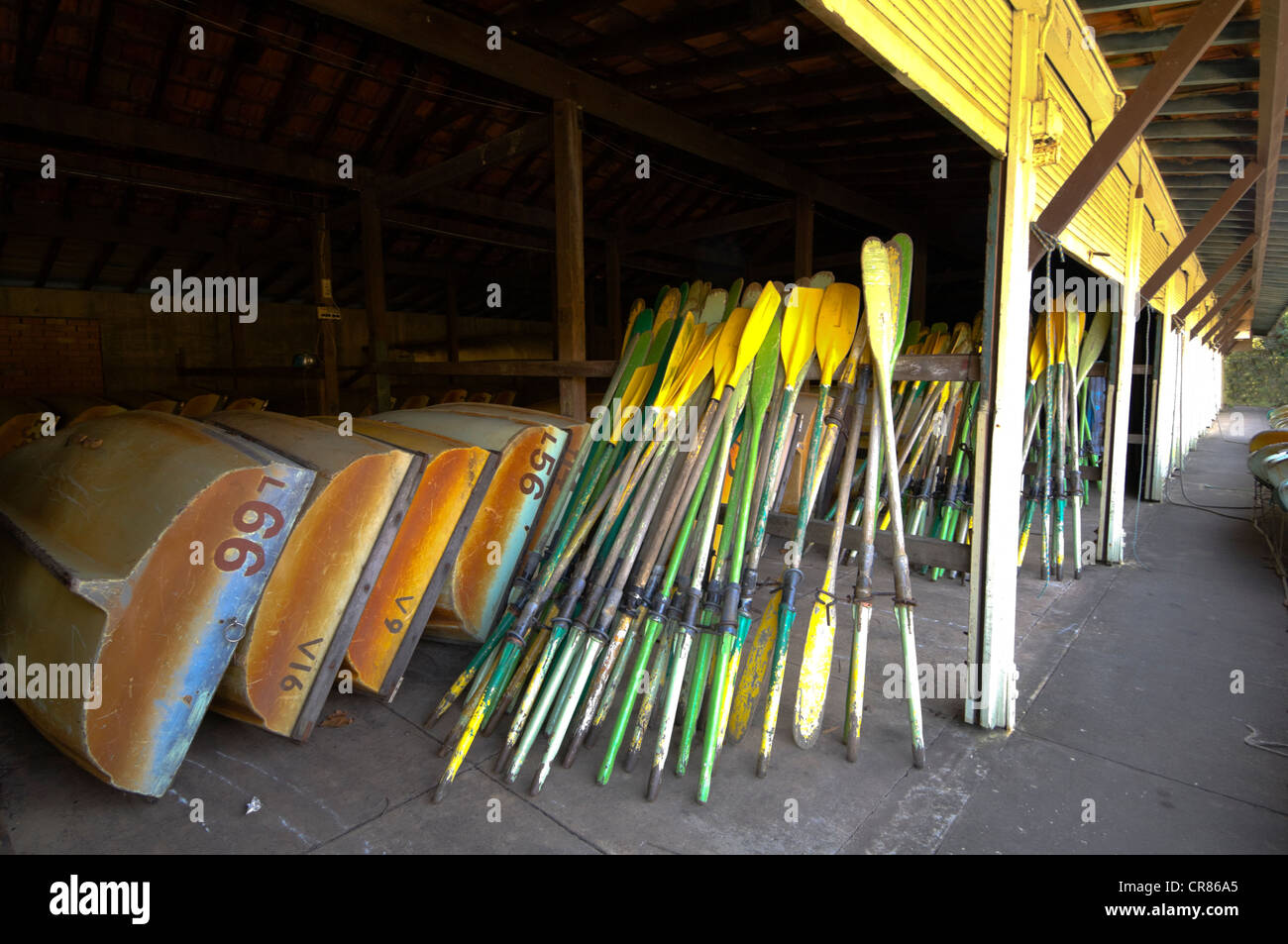 Royal rowboat hi-res stock photography and images - Alamy