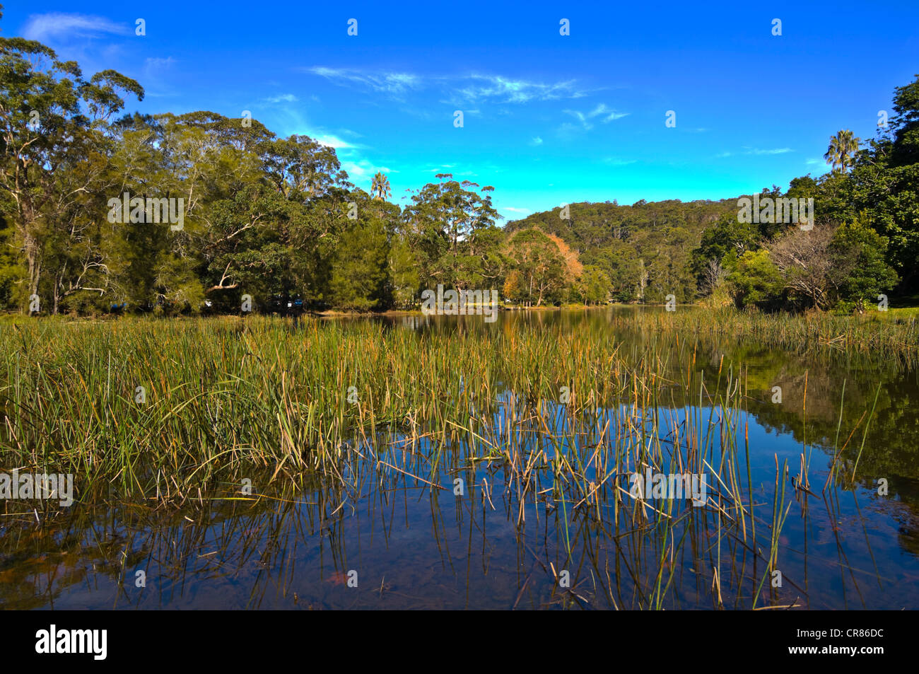 Weir point hi-res stock photography and images - Alamy