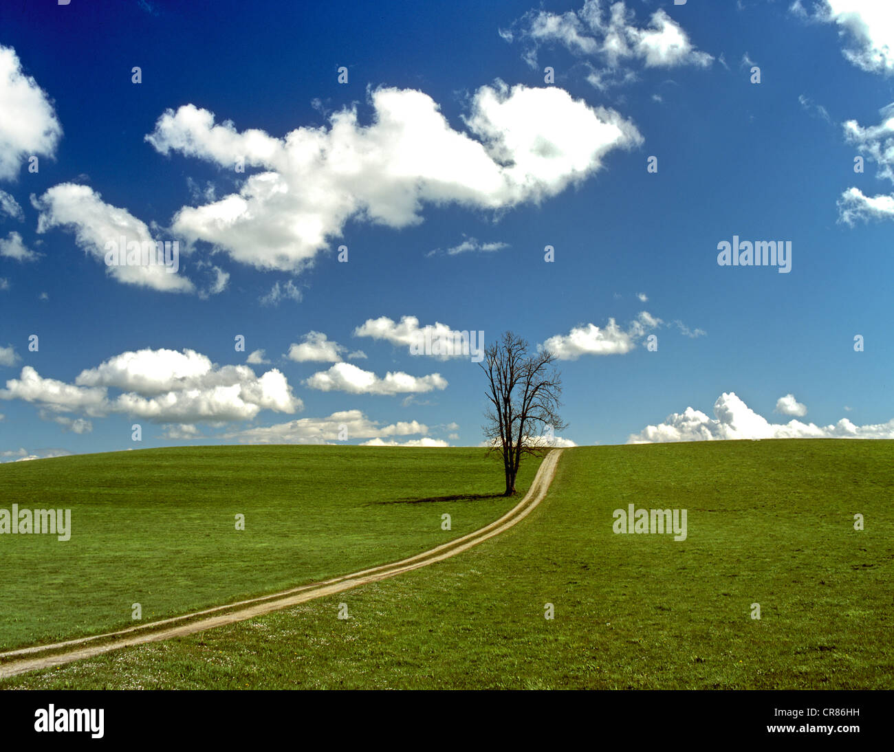 Field alongside country road in hi-res stock photography and images - Alamy