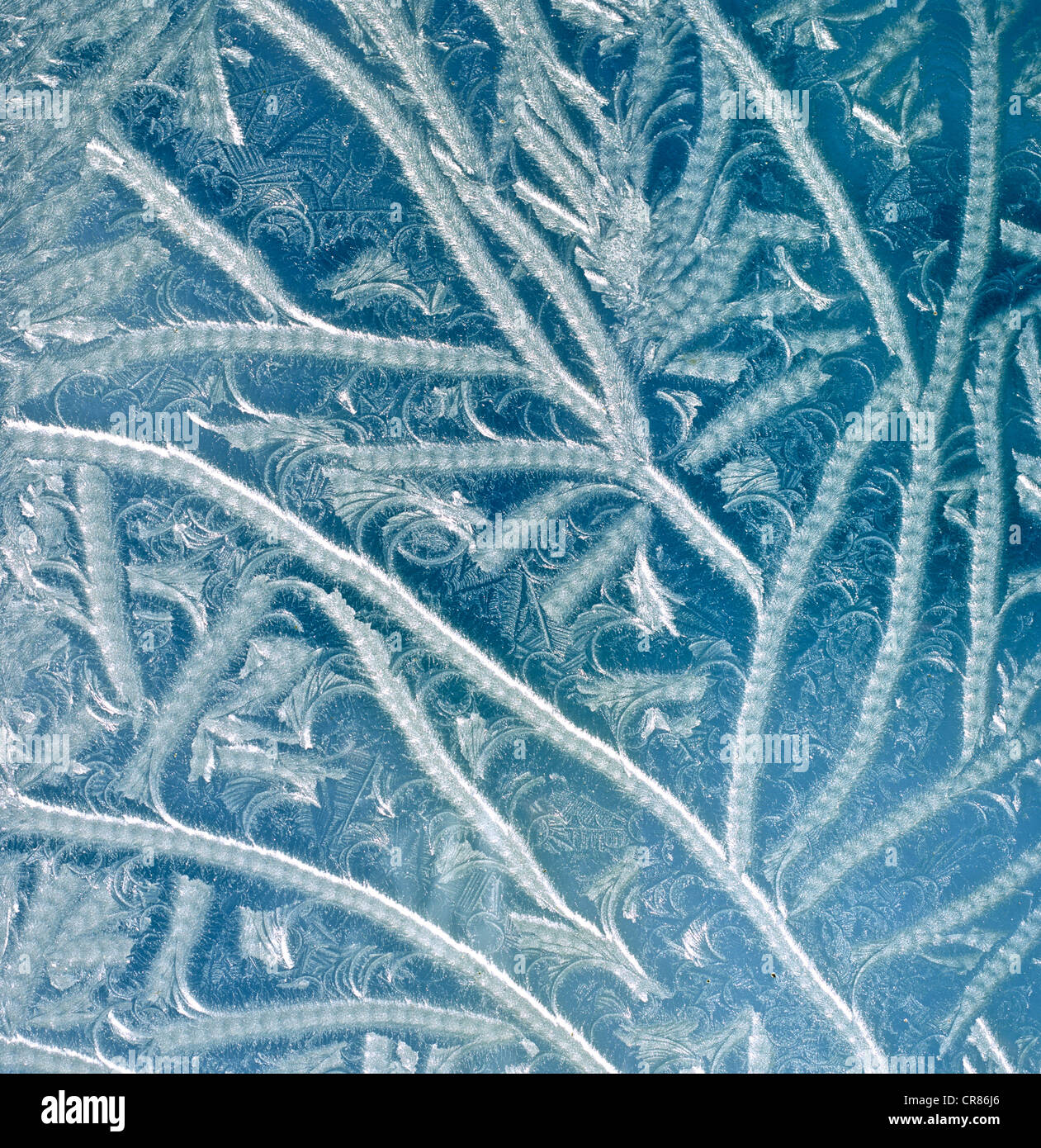 Frost on window glass Stock Photo - Alamy