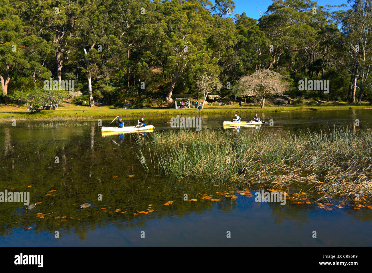 Audley Weir, Royal National Park, Sydney, New South Wales, NSW ...