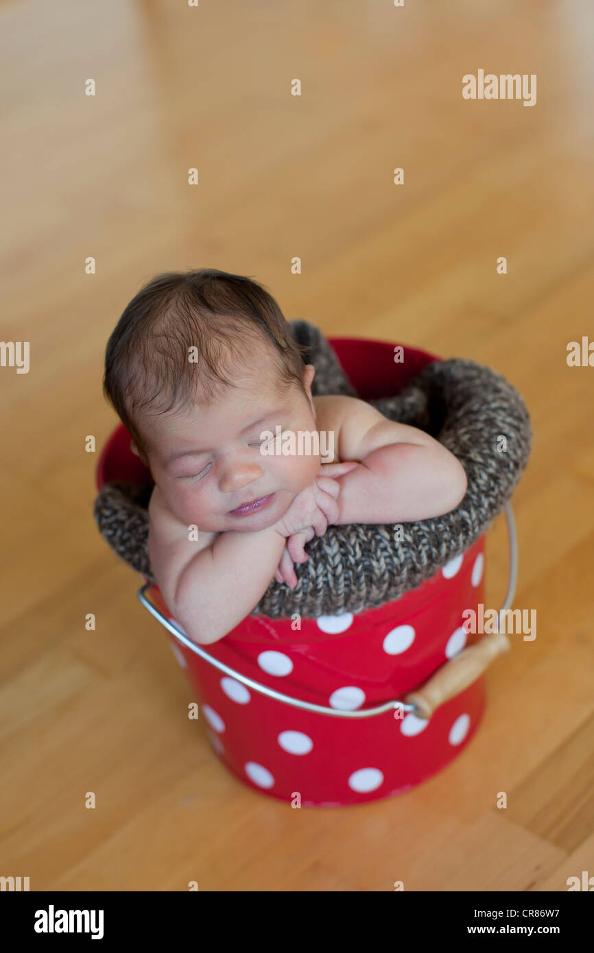Baby in a bucket hi-res stock photography and images - Alamy