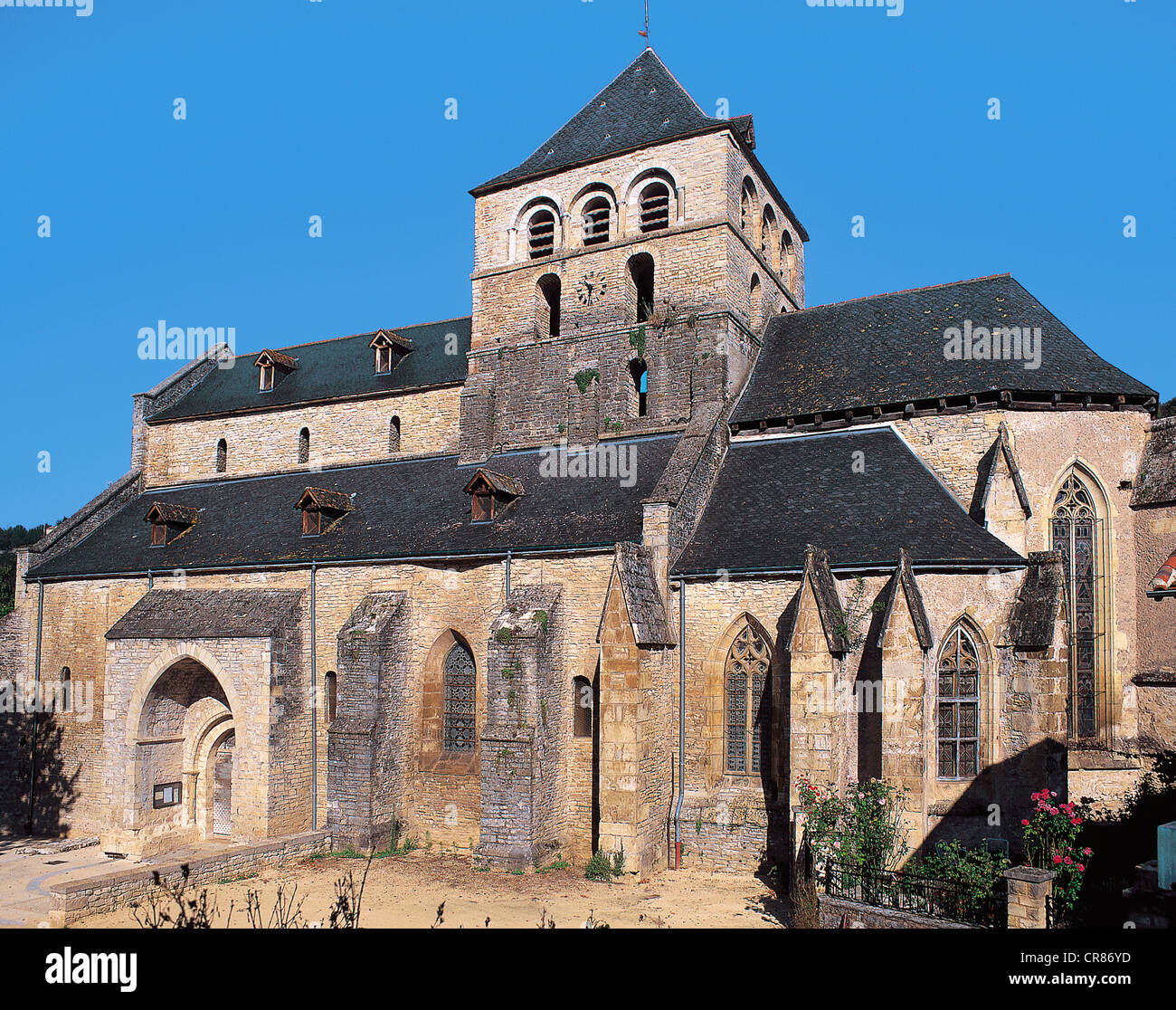 Catus hi-res stock photography and images - Alamy