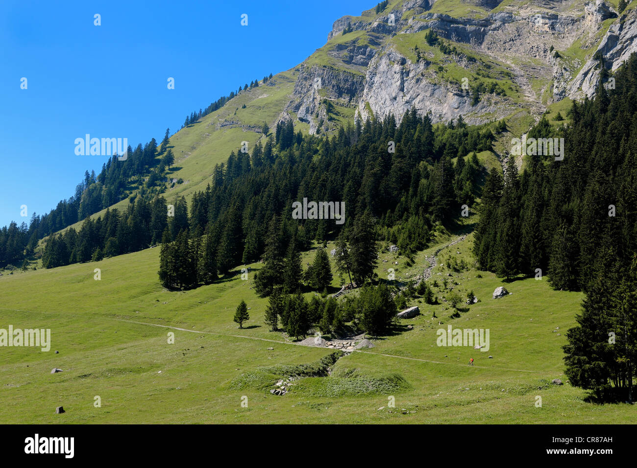 Solalex High Resolution Stock Photography and Images - Alamy