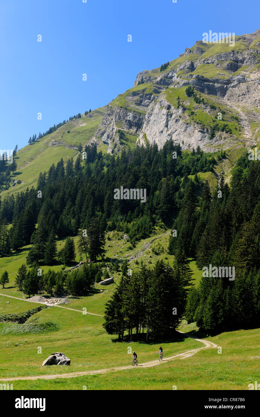 Muverans hi-res stock photography and images - Alamy