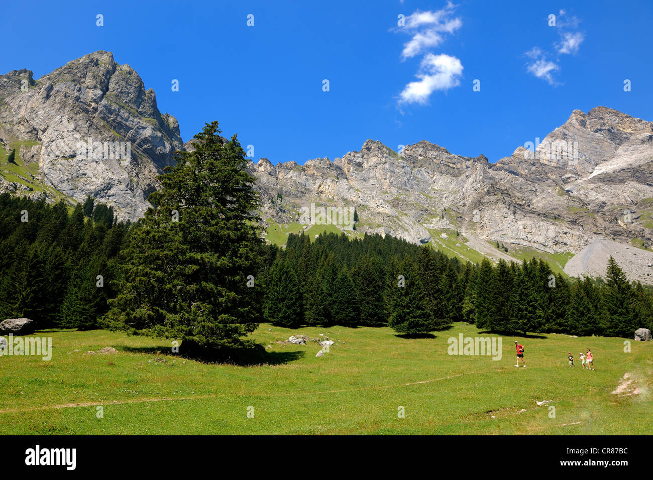 Switzerland, Canton of Vaud, Villars sur Ollon, Solalex Valley in the ...