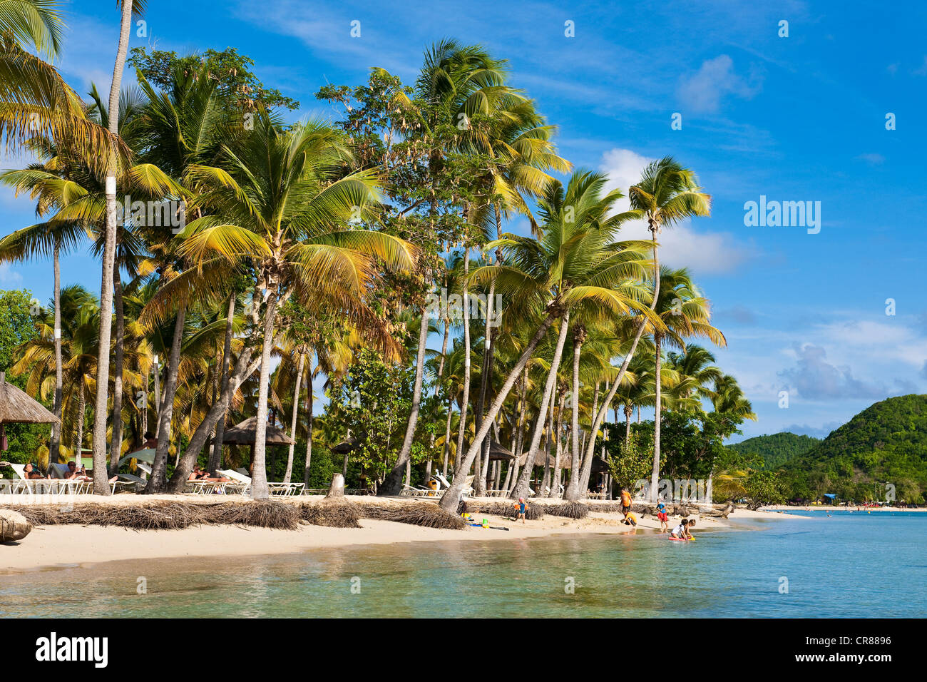 France, Martinique (French West Indies), Pointe Marin, Club Med ...