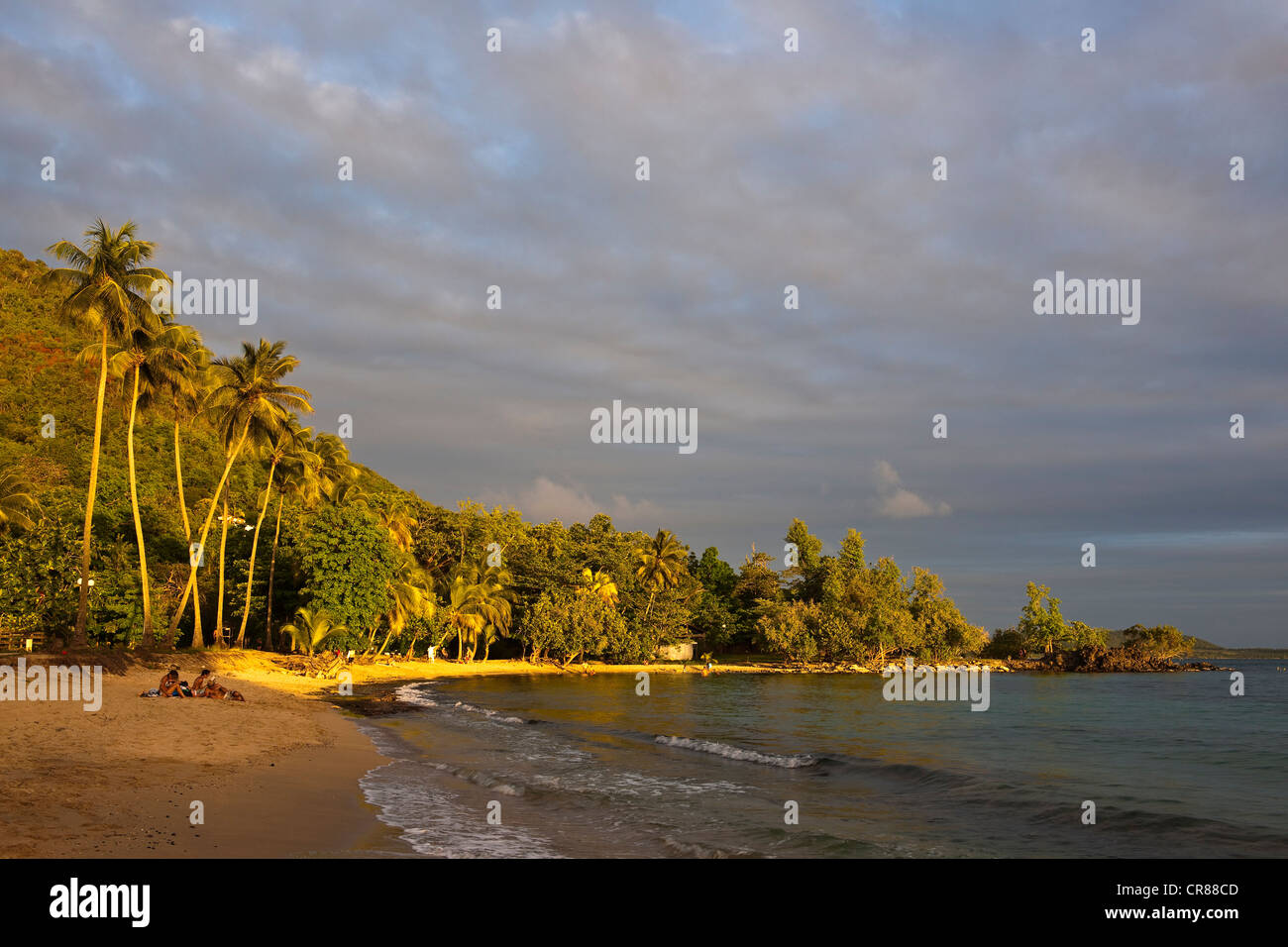 France, Martinique (French West Indies), Anse Figuier, the beach Stock ...