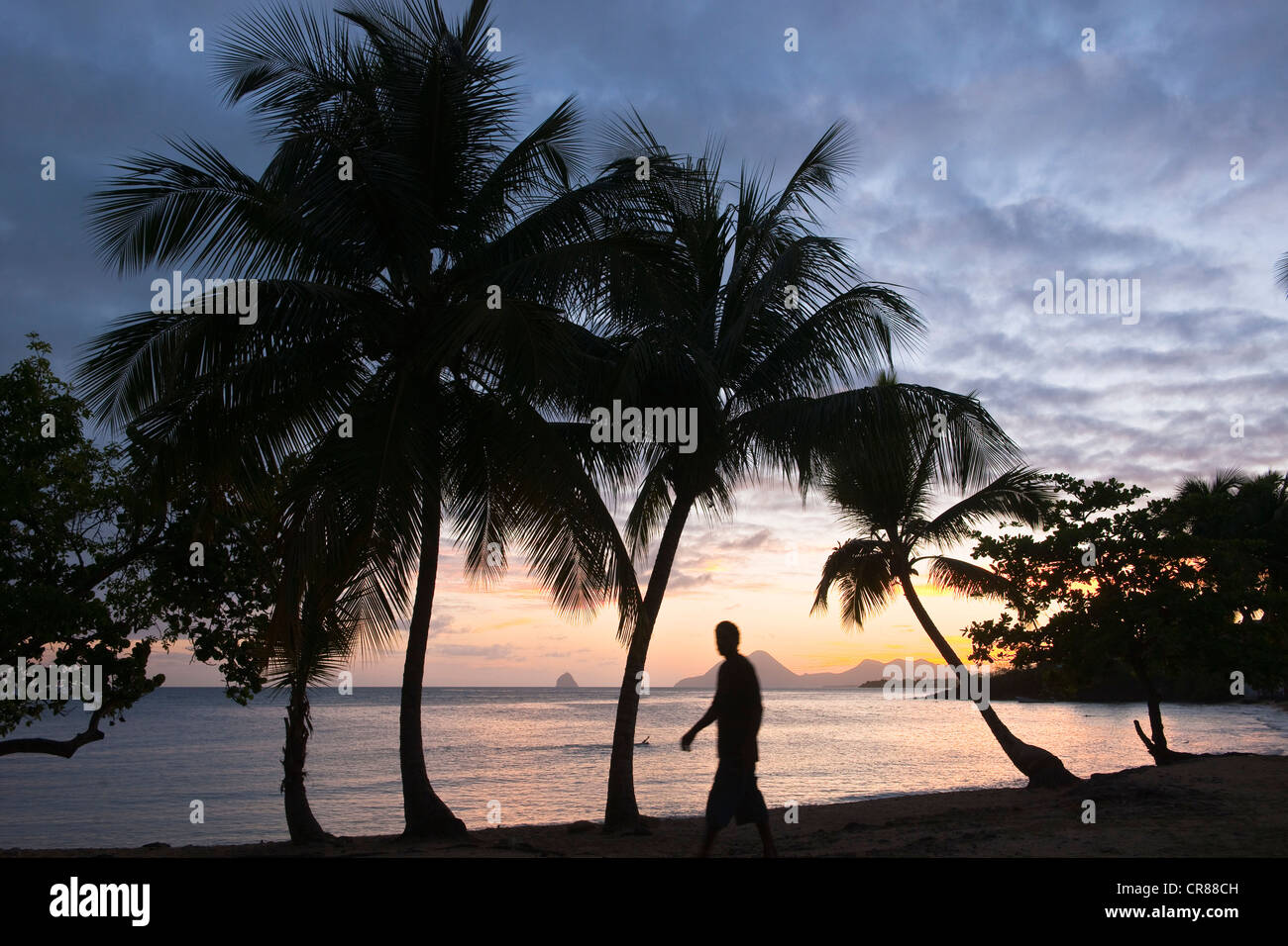 France, Martinique (French West Indies), Anse Figuier, sunset beach ...