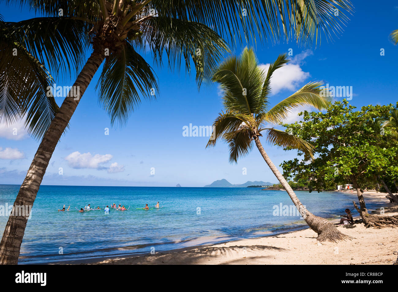 France, Martinique (French West Indies), Anse Figuier, the beach Stock ...
