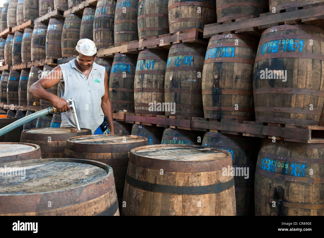 France, Martinique (French West Indies), Depaz rum distillery ...