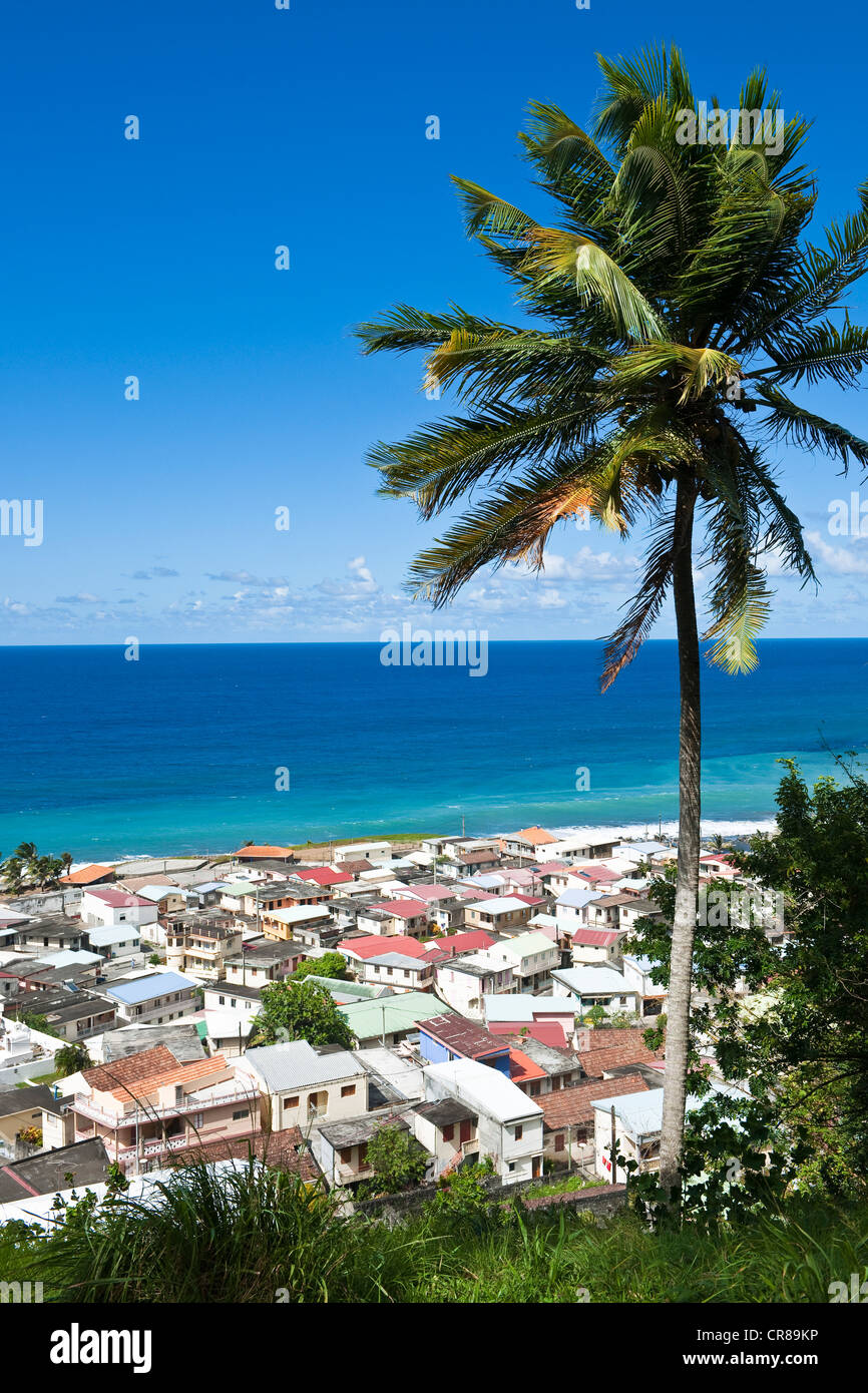 France, Martinique (French West Indies), Grand Riviere Stock Photo - Alamy