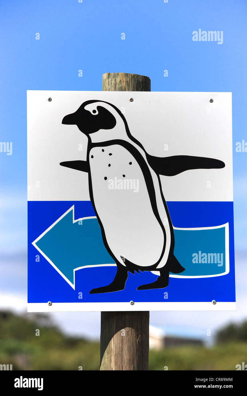 Penguin sign, Betty's Bay, South Africa, Africa Stock Photo - Alamy