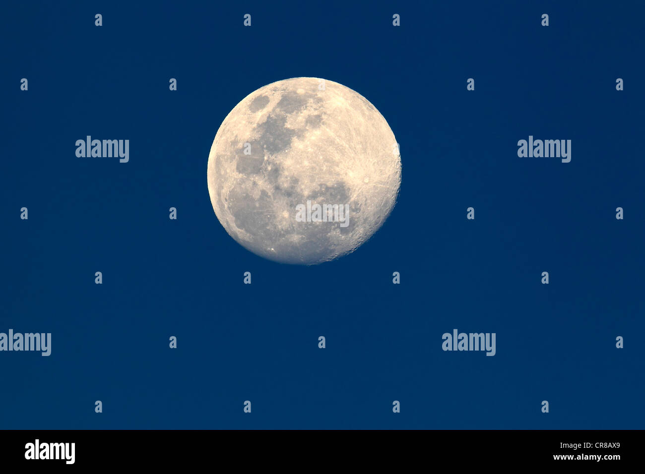 Full moon at night Stock Photo - Alamy