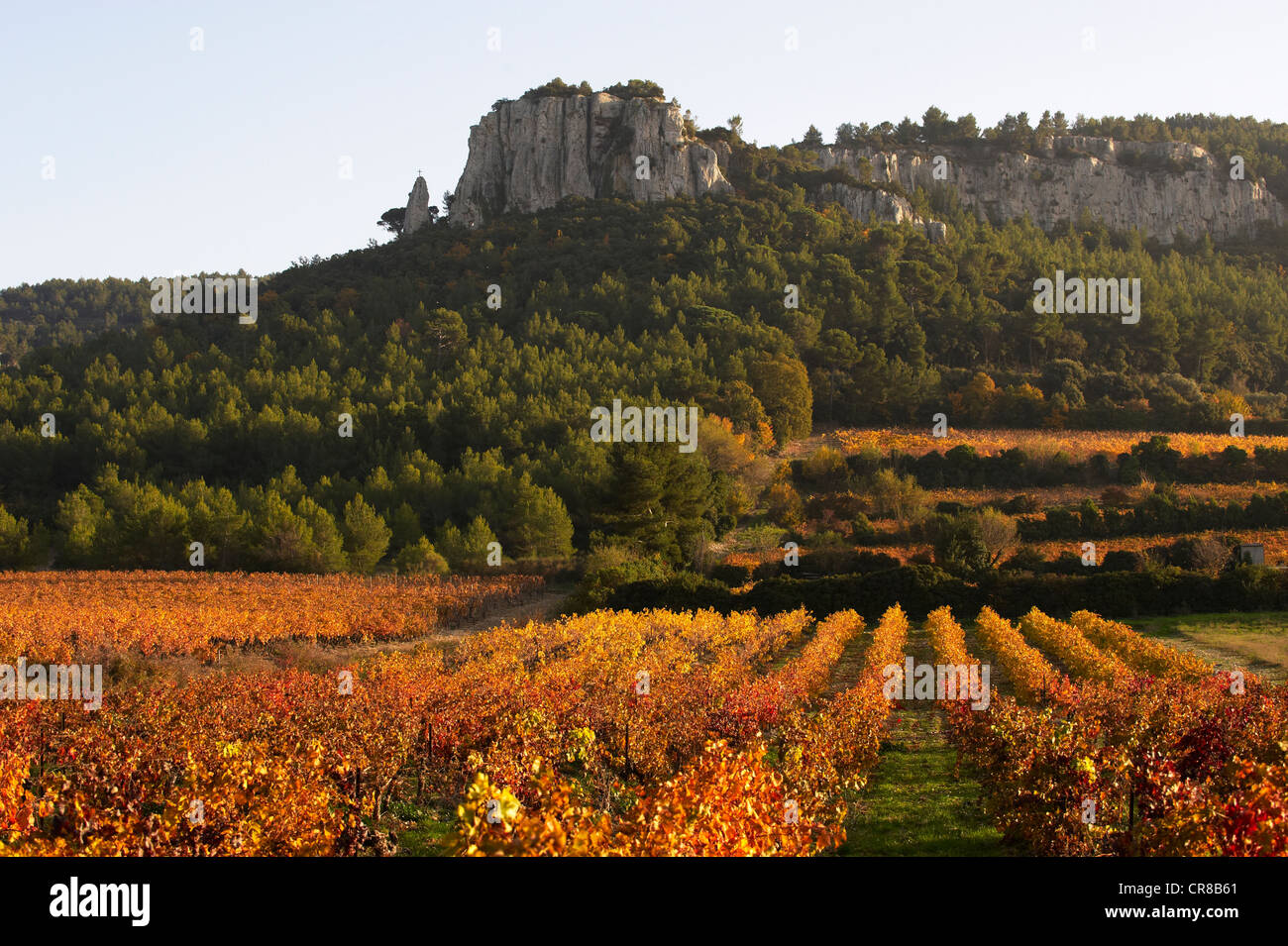 Cassis vineyard hi-res stock photography and images - Alamy