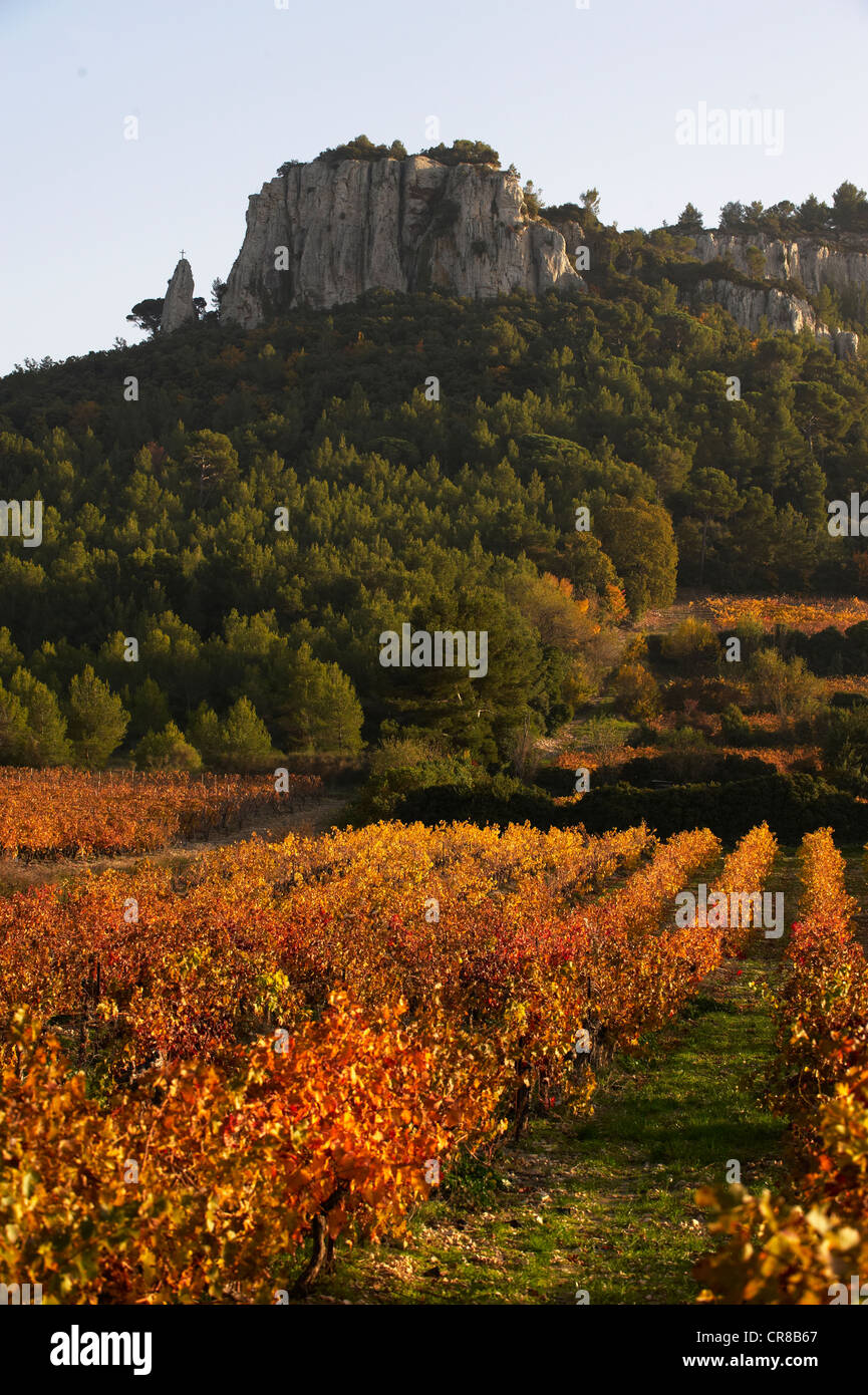 Cassis vineyard hi-res stock photography and images - Alamy
