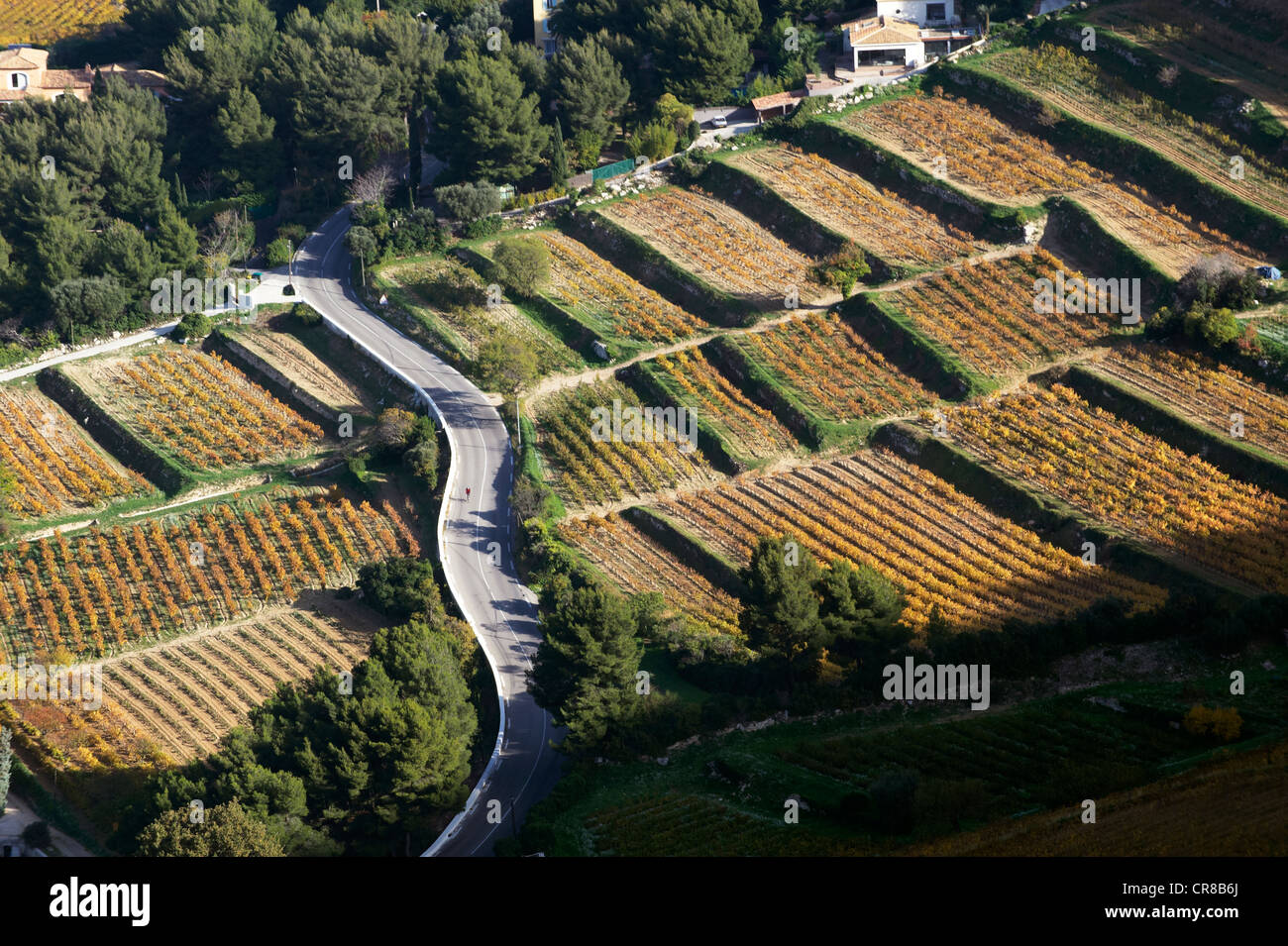 Vineyard cassis hi-res stock photography and images - Alamy