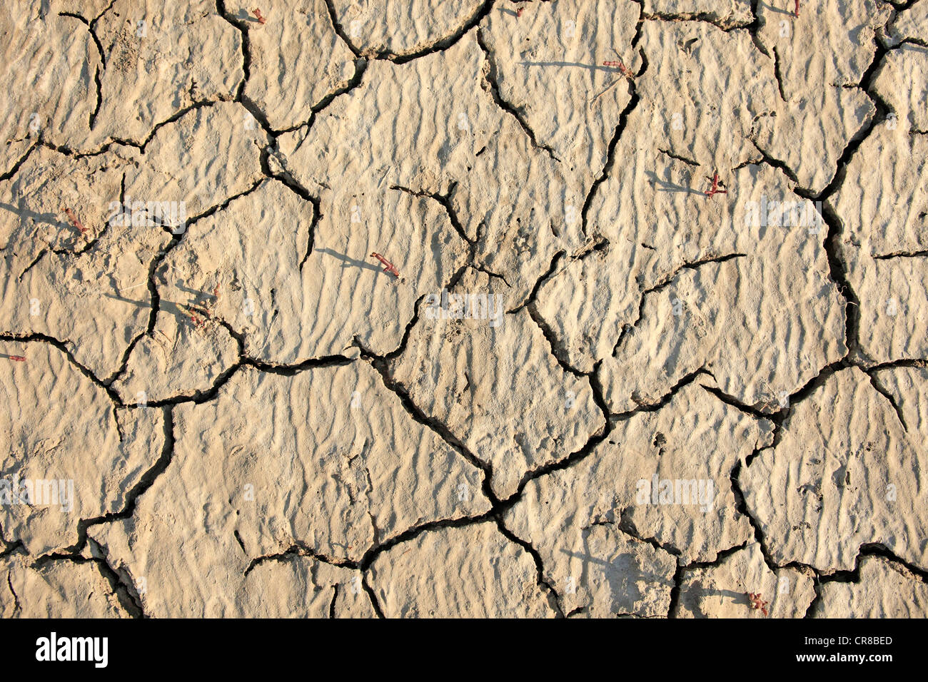 Parched soil hi-res stock photography and images - Alamy