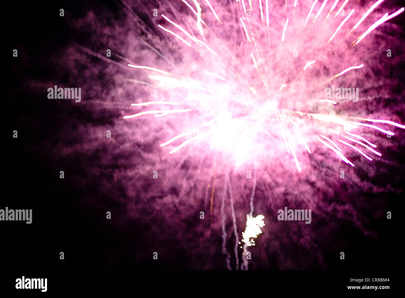 Pink firework explosion Stock Photo - Alamy