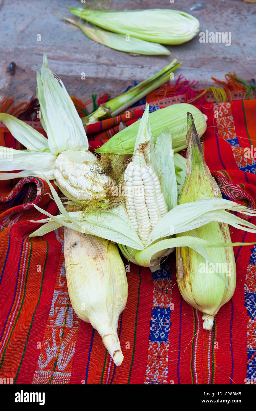 Peru, Cuzco Province, Huaro, choclo (corn) spread at the corn feast ...