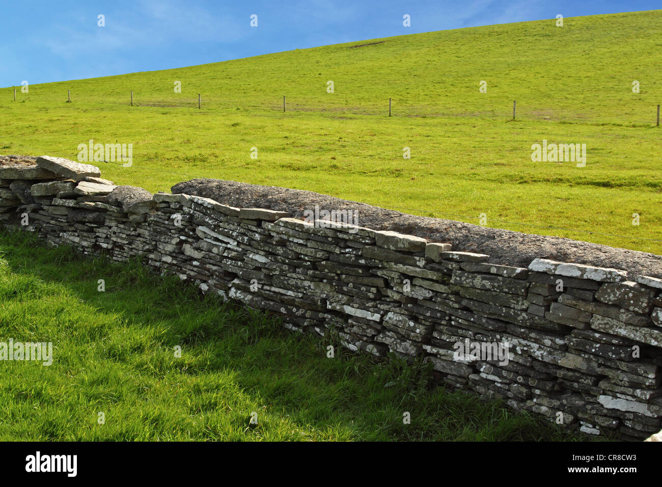 Ireland pasture hi-res stock photography and images - Alamy