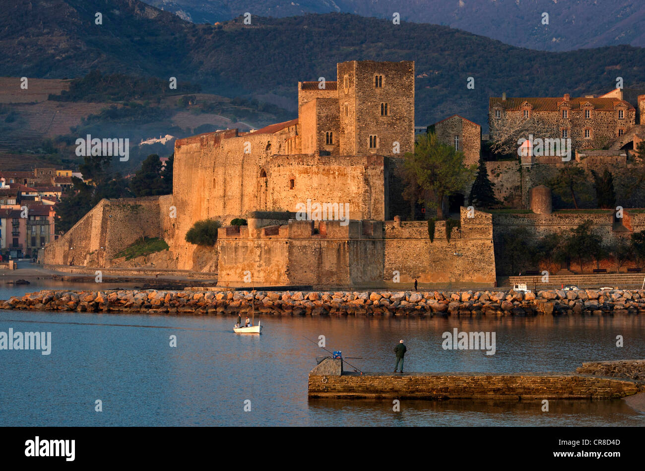 France, Pyrenees Orientales, Collioure, the Royal castle dated XIIIth ...