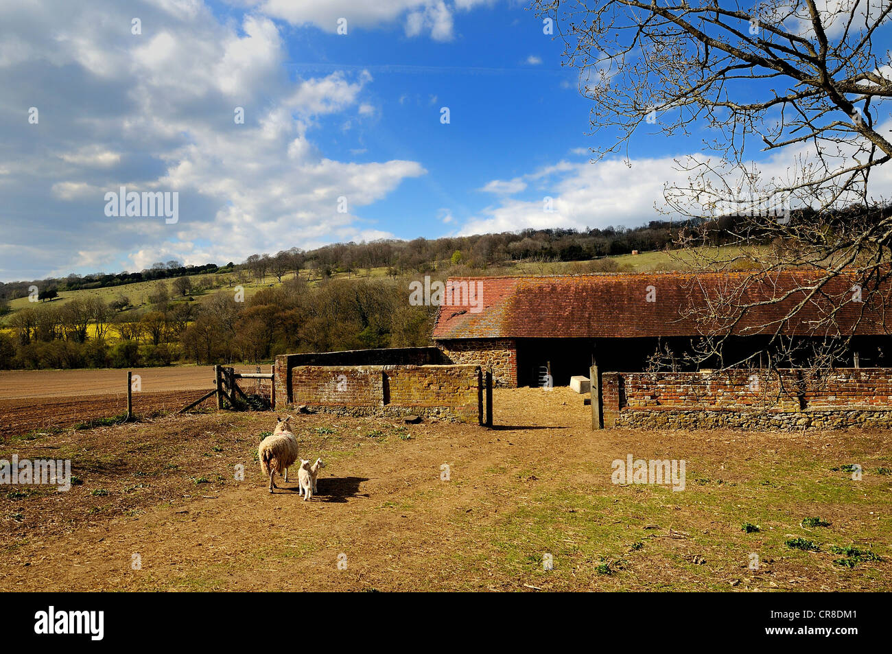 Farm building in The Surrey Hills near Dorking Stock Photo - Alamy