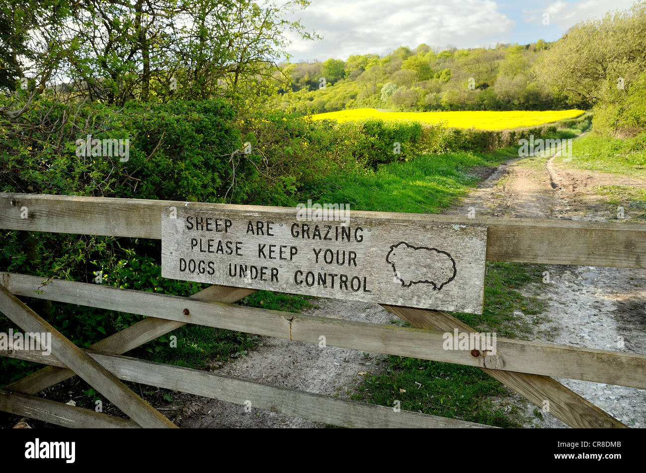 Warning sign on farm gate to keep dogs under control Stock Photo - Alamy