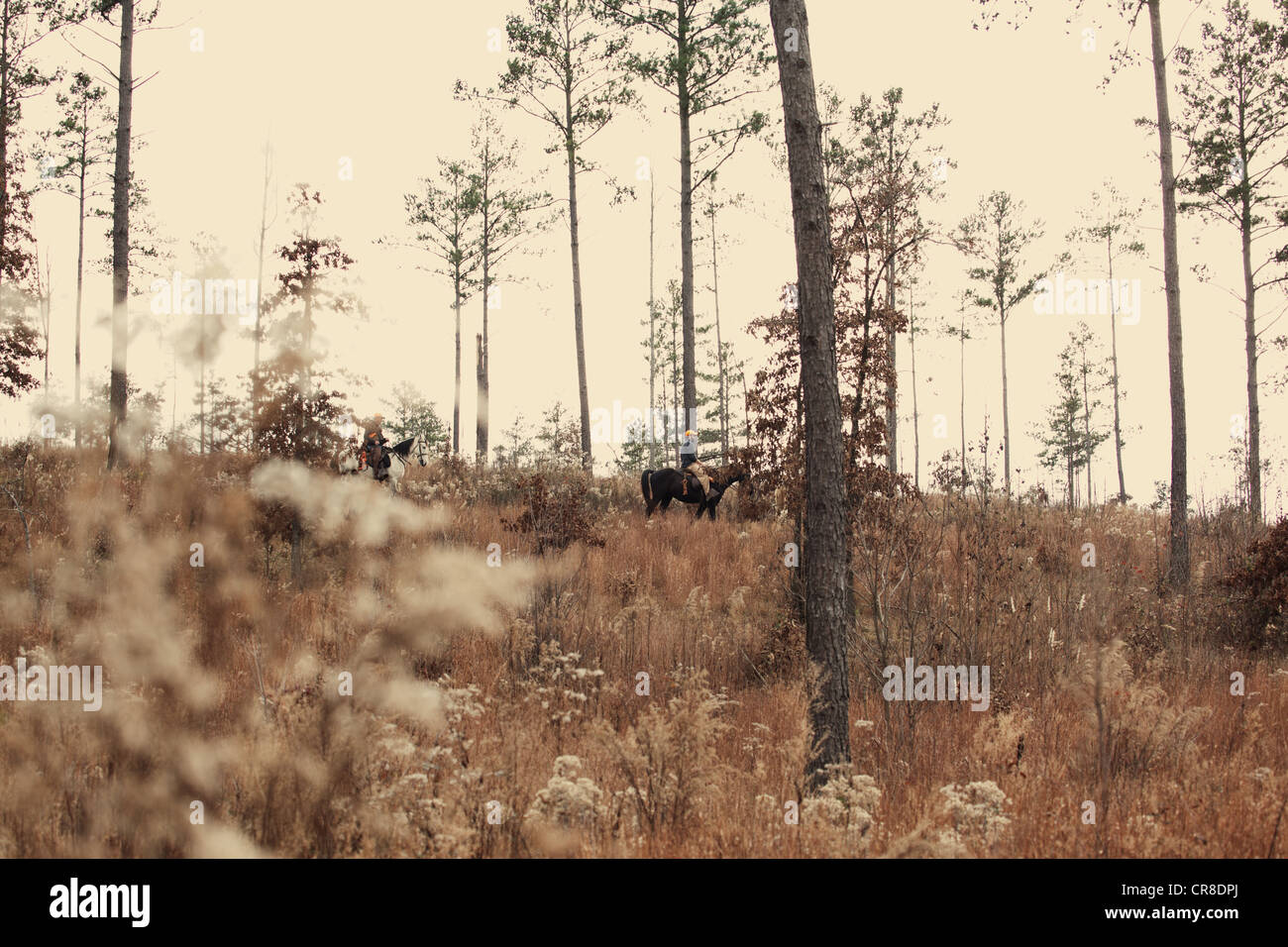 Riding into distance on horse hi-res stock photography and images - Alamy