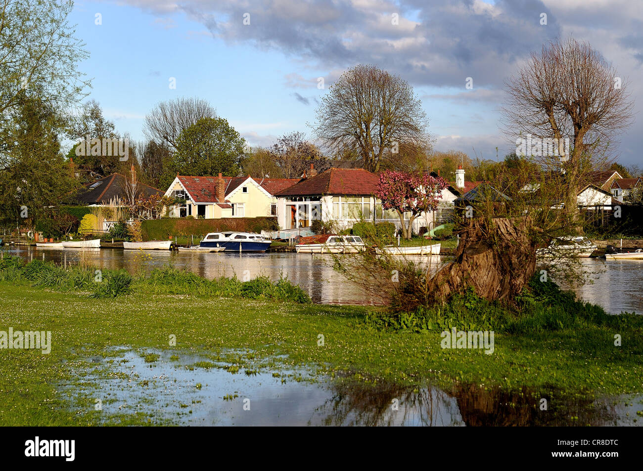 River Thames at Shepperton Middlesex Stock Photo - Alamy