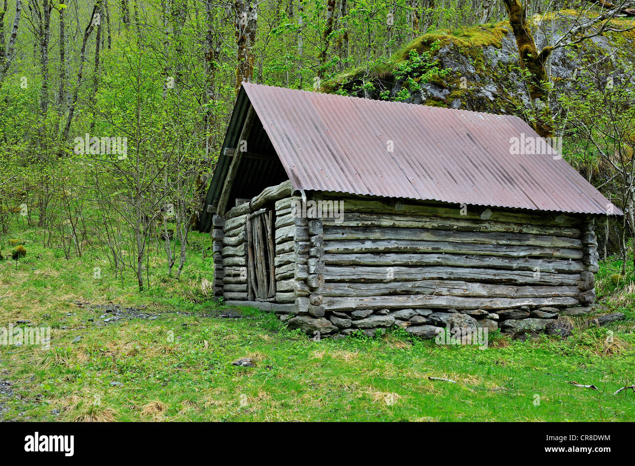 Small rustic timber hut in Hardanger Norway, build as a sheep shed ...