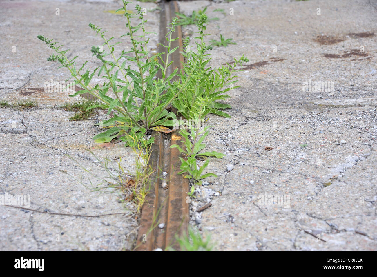 Rusty rail hi-res stock photography and images - Alamy