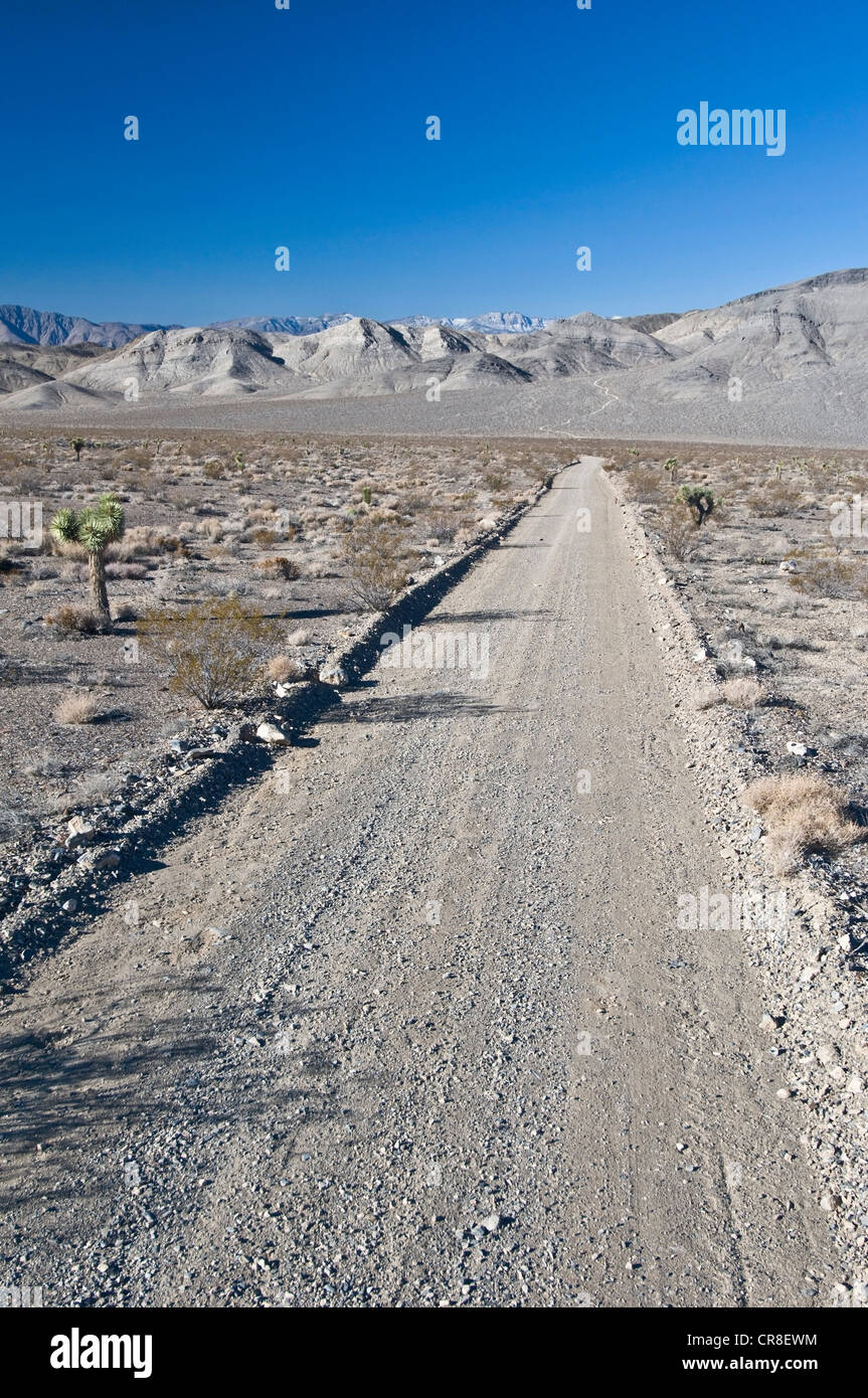 Empty desert road in Death Valley National Park, California, USA Stock ...