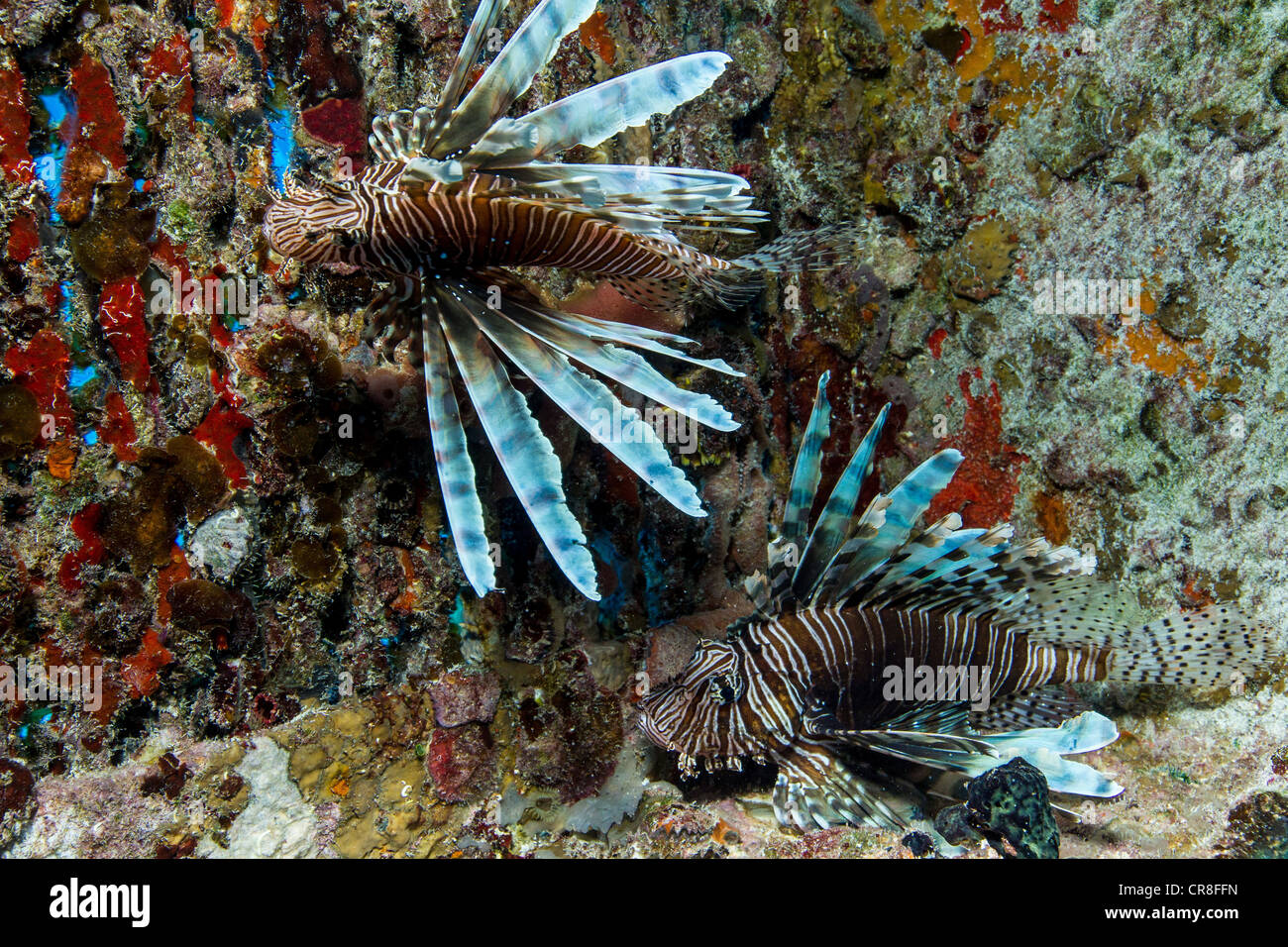 Lt Water High Resolution Stock Photography and Images - Alamy