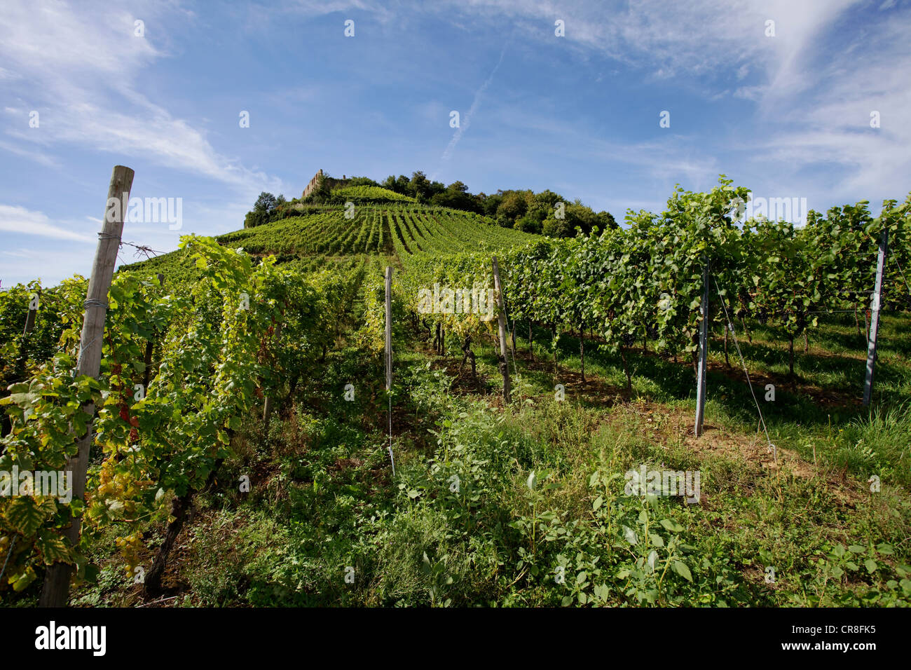 Crops Destroyed High Resolution Stock Photography and Images - Alamy
