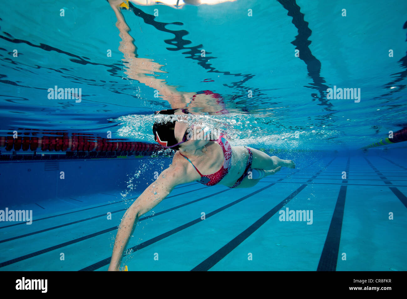 Training At The Olympic Pool High Resolution Stock Photography and ...